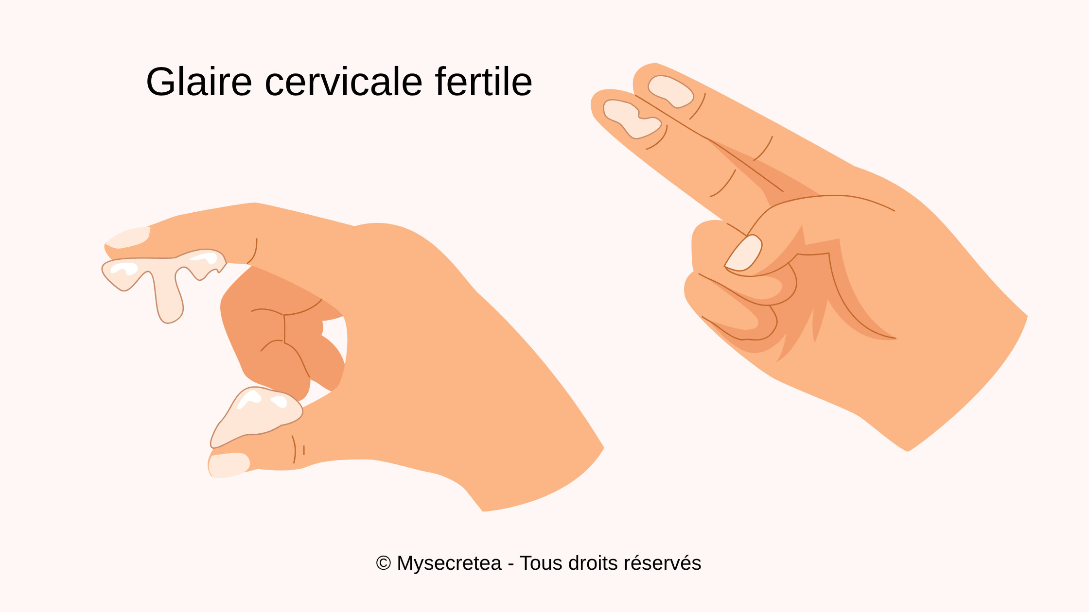 Glaire cervicale et ovulation : détecter vos jours fertiles – My secretea